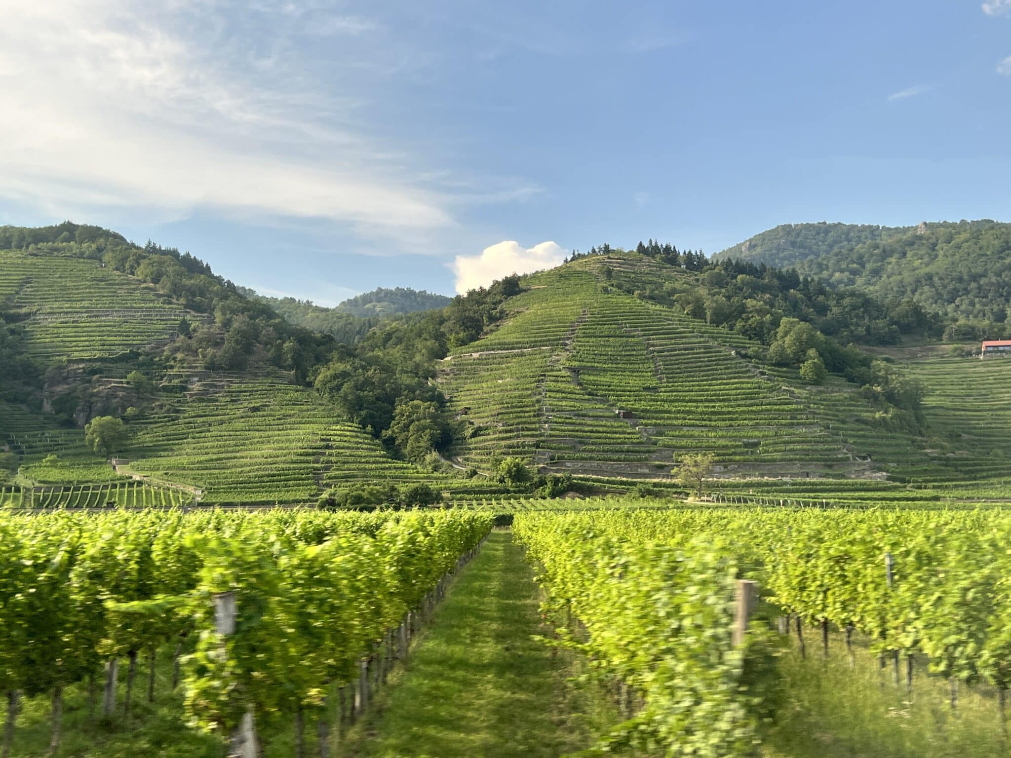 Dürnstein on the Danube: Wachau Valley's Hidden Gem | Guidester