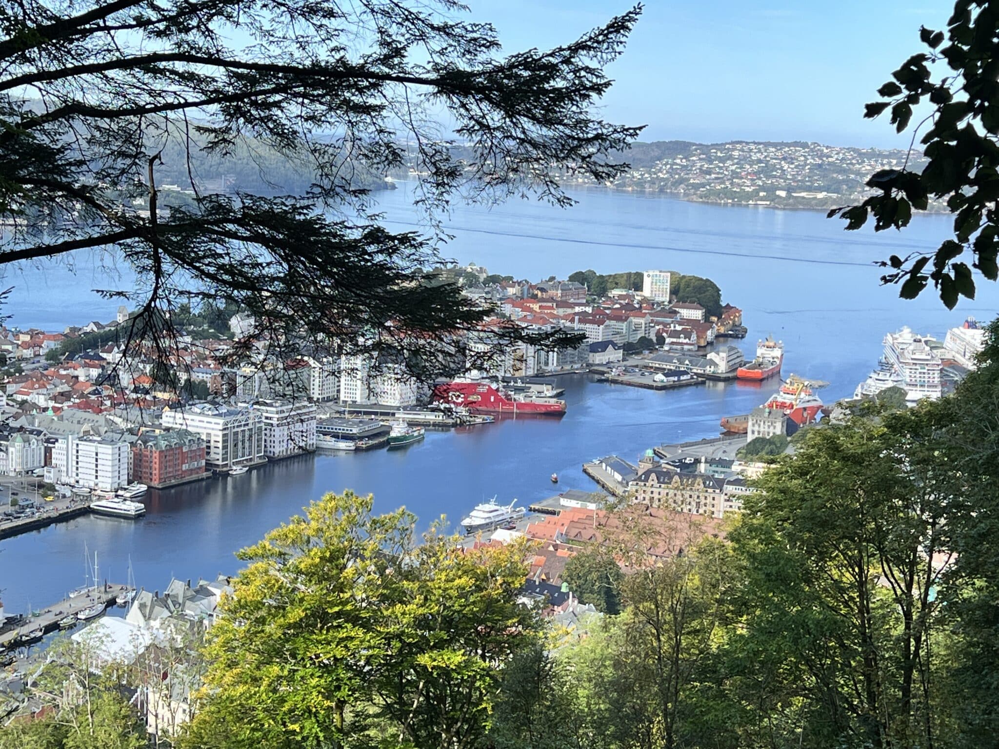 Bergen: A Journey Through History, Culture, and Natural Wonders | Guidester