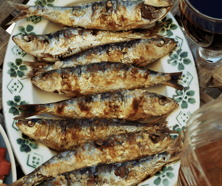 Best Food in Portugal: Must-Try Dishes from Porto to the Algarve